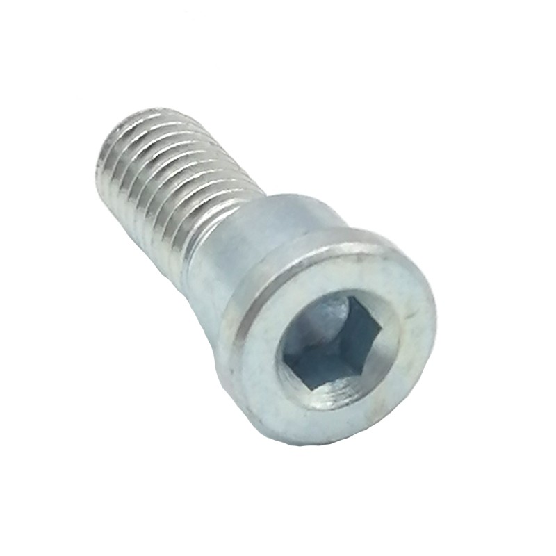 Galvanized special eccentric screw M6